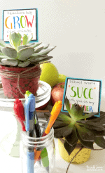 These DIY mason jar teacher gifts are pretty and will last all year ...