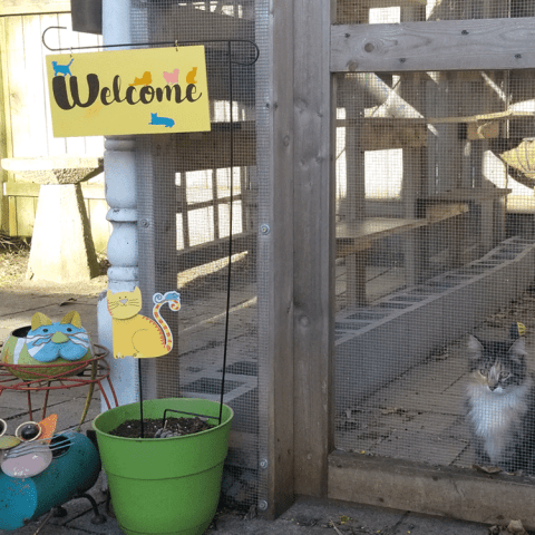 A Custom Welcome Sign For The Catio - Michelle James Designs