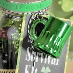 Holiday Projects - Michelle James Designs