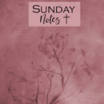 Sunday/Sermon Notebooks - Michelle James Designs